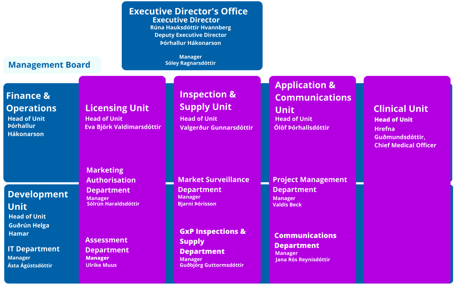 Roles and organization - Icelandic Medicines Agency