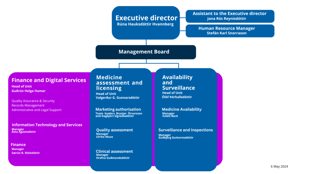 Roles and organization - Icelandic Medicines Agency