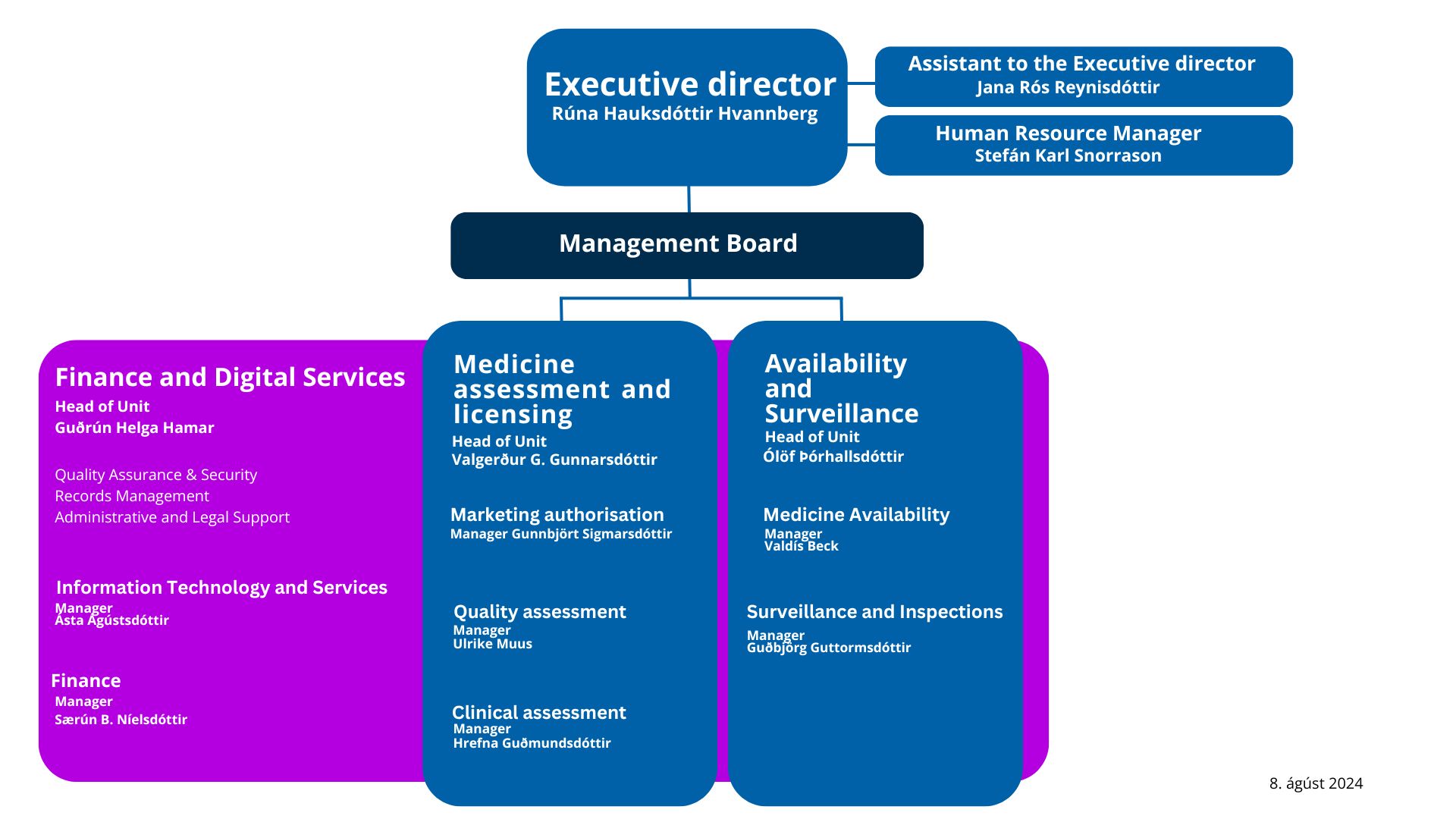 Roles and organization - Icelandic Medicines Agency